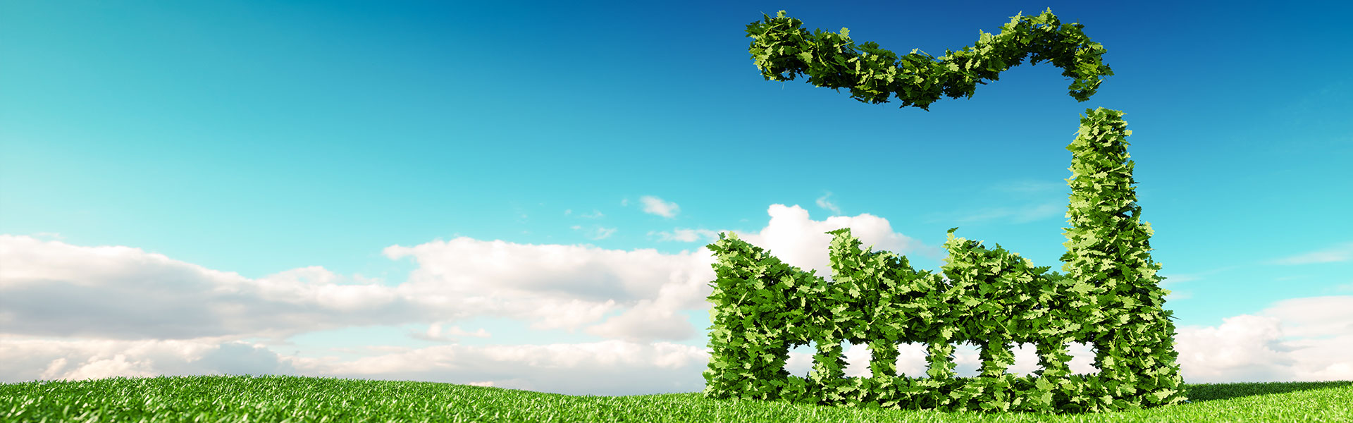 Environmental Policy